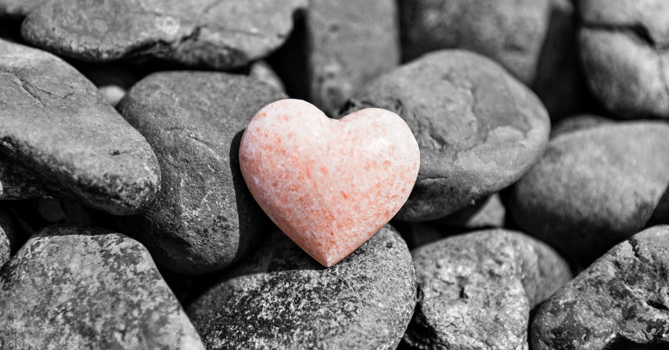 UU Values with Love at the Center - Main Line Unitarian Church